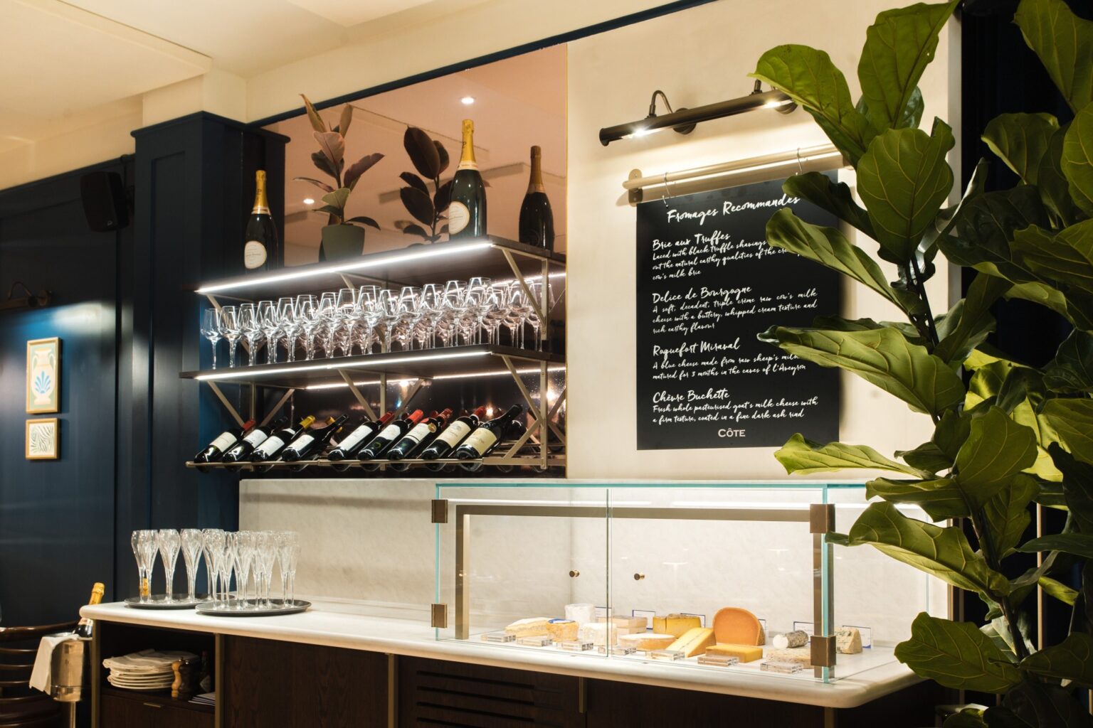 Quadrant Design - Côte - Bristol